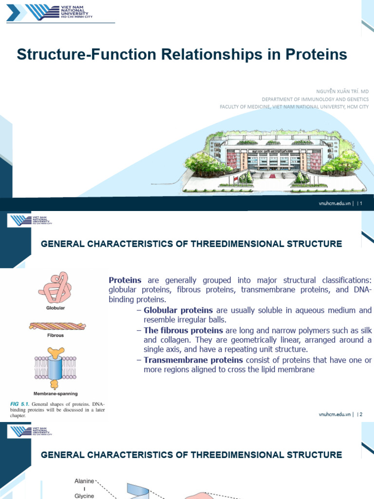 Lesson2.1 - Protein Structure | PDF | Protein Structure | Proteins