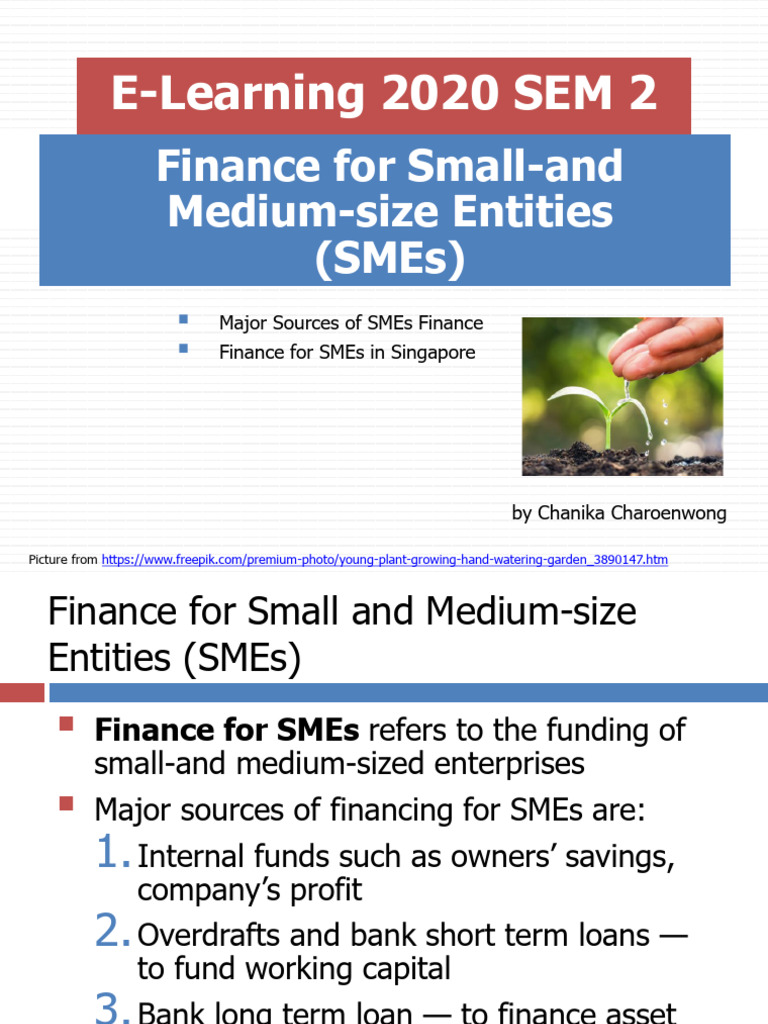 (2021) SME Finance | PDF | Small And Medium Sized Enterprises ...