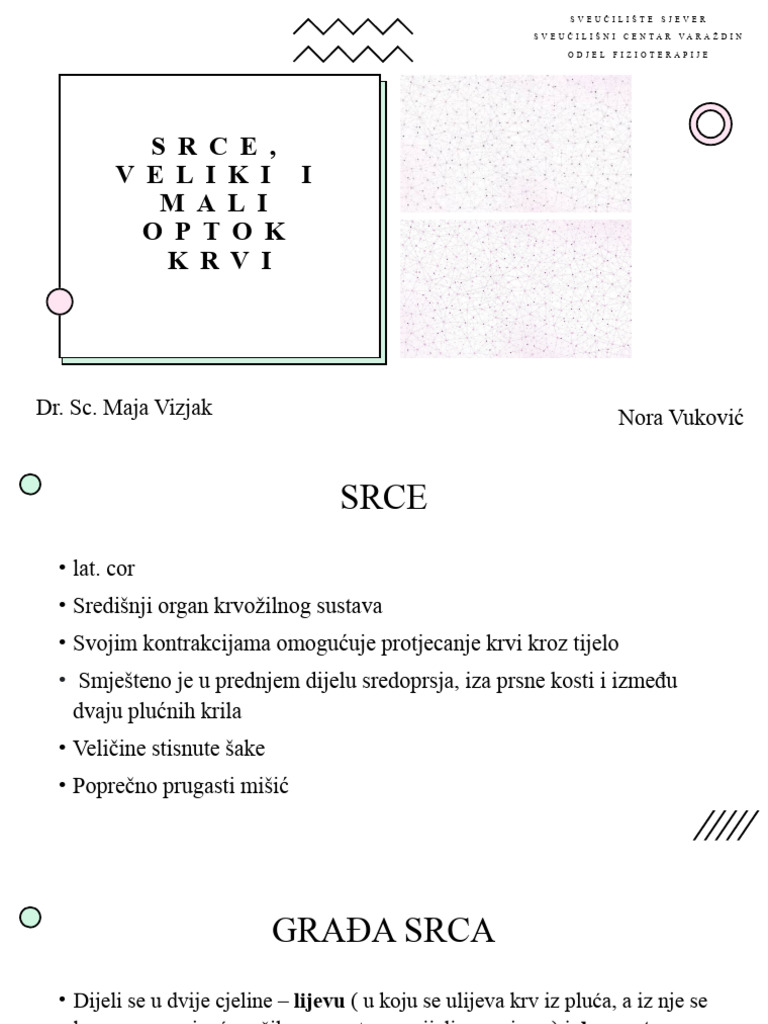 3 - Nora - Vuković - Srce, Veliki I Mali Optok Krvi | PDF