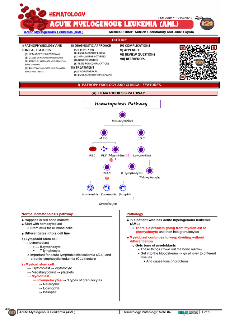 Hematology Pathology - 004) Acute Myelogenous Leukemia (AML) (Notes) | PDF