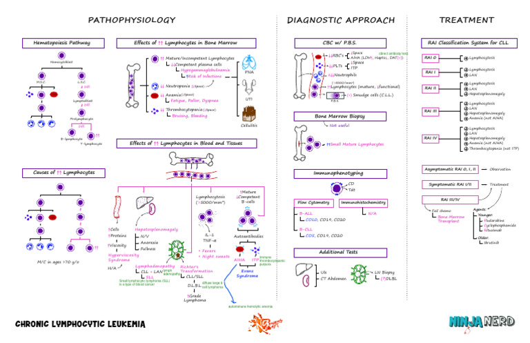 Hematology Pathology - 005) Chronic Lymphocytic Leukemia (CLL ...