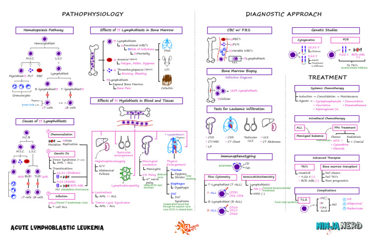 Hematology Pathology - 003) Acute Lymphoblastic Leukemia (ALL ...