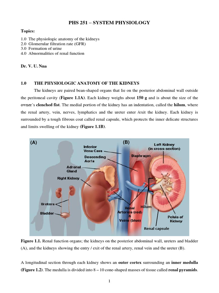 PHS 251 Notes - Systems Physiology - Updated January 2022-1 | PDF ...