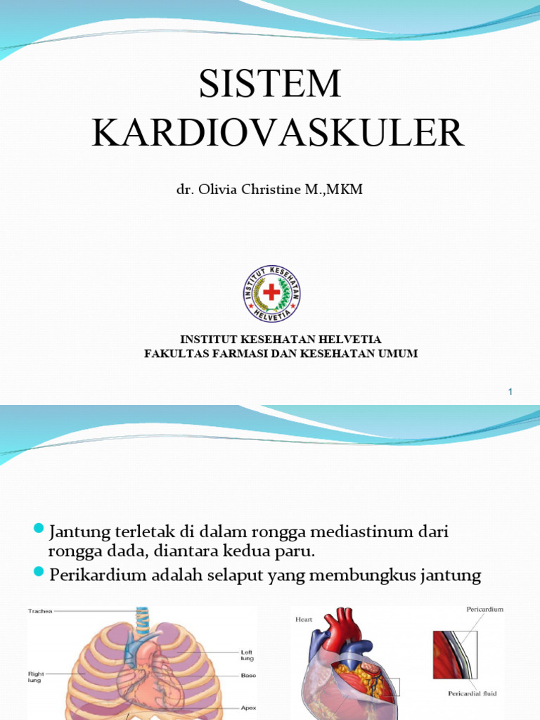 Sistem Kardiovaskuler | PDF | Seni