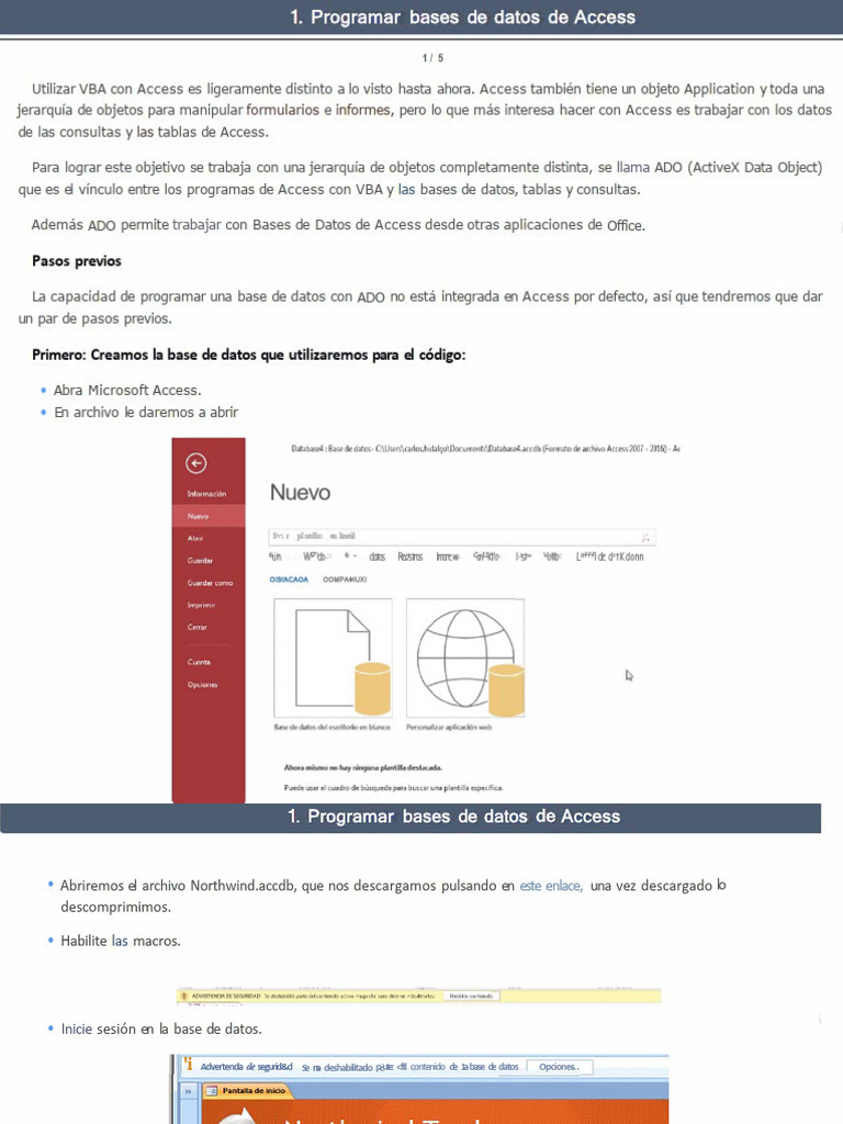 Programación de Bases de Datos en Access | PDF | Active X Data Objects | Microsoft Windows