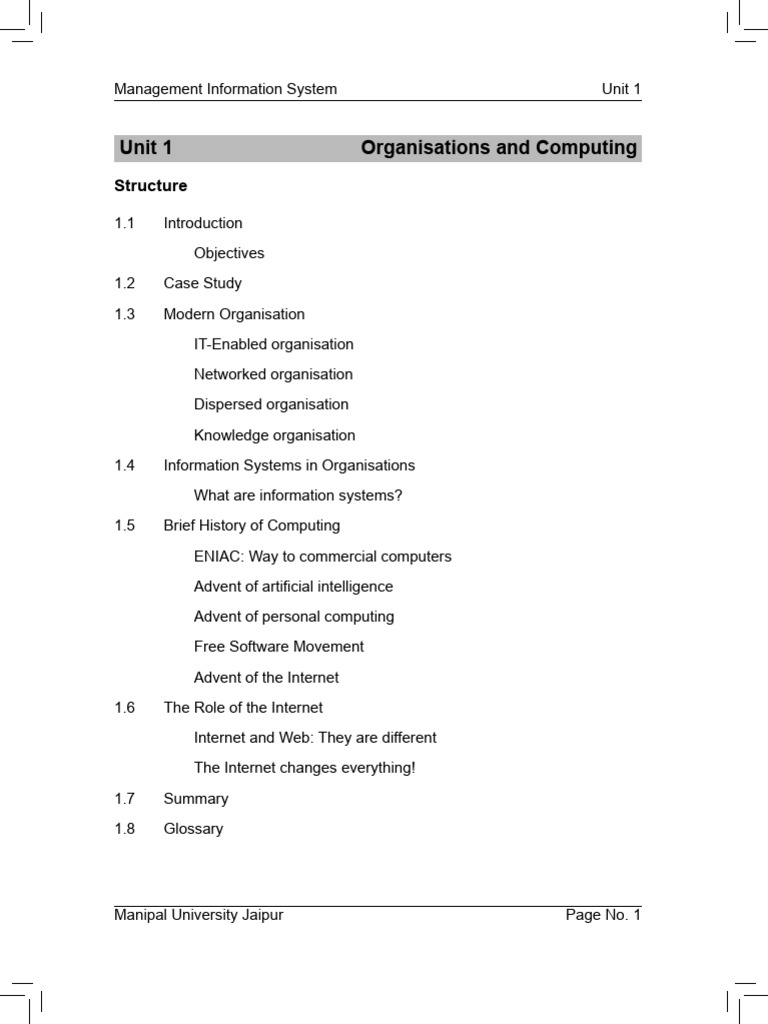 DMBA 204 Mangement Information System | PDF