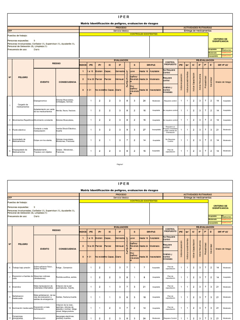 Modelo de IPER | PDF