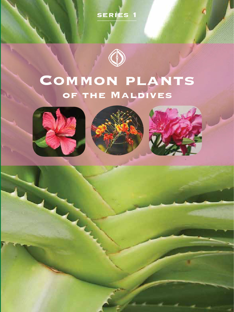 Maldives Plant Guide | PDF | Coconut | Trees