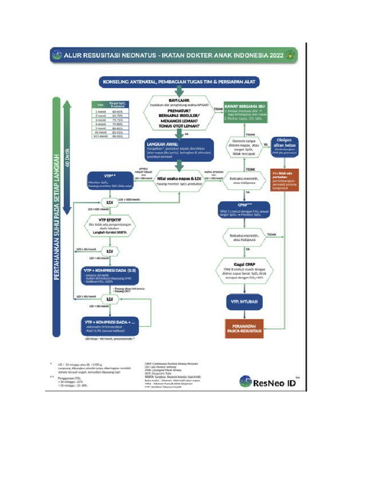 Resusitasi Neonatus Idai 2022 | PDF
