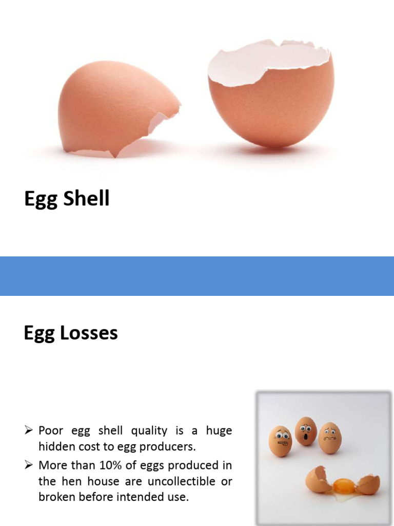 1 Eggshellqualitydefects 151122104347 Lva1 App6892 | PDF | Egg ...