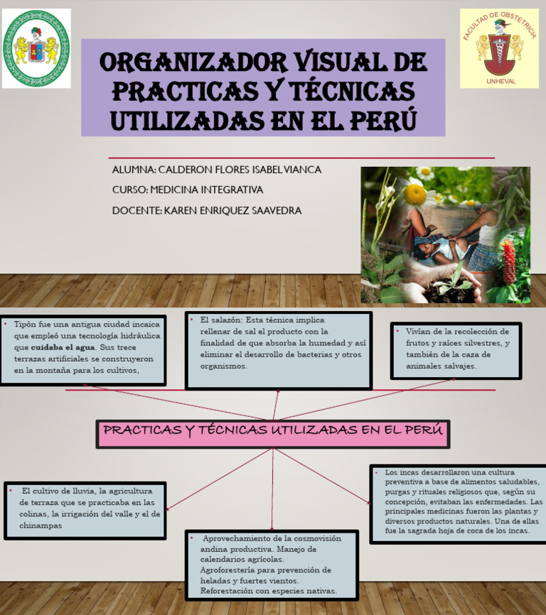 Organizador Visual de Practicas y Técnicas Utilizadas en El Perú | PDF | Agricultura | Imperio Inca