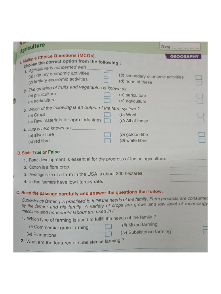 8th S.ST HHW Worksheet | PDF