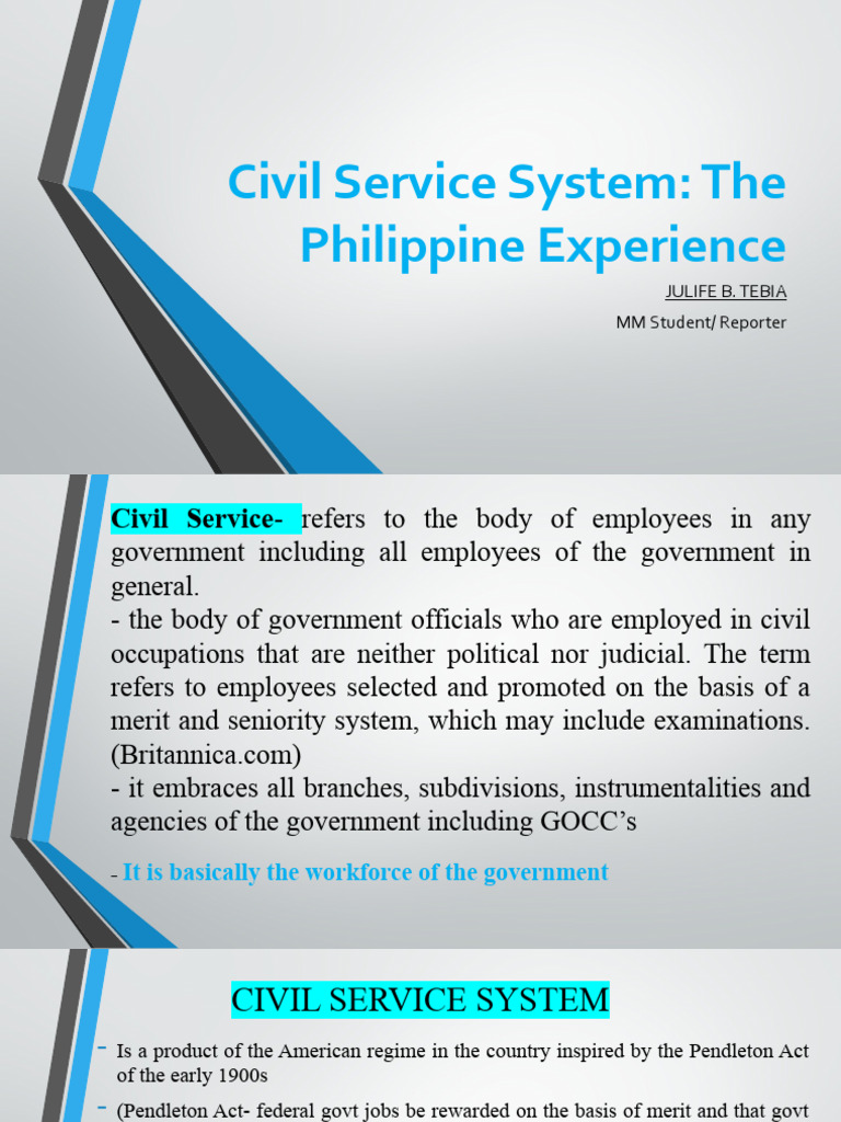 Civil Service System (Public Ad Report) | PDF | Civil Service | Employment