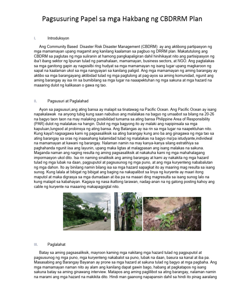 Ang Community Based Disaster Risk Disaster Management | PDF
