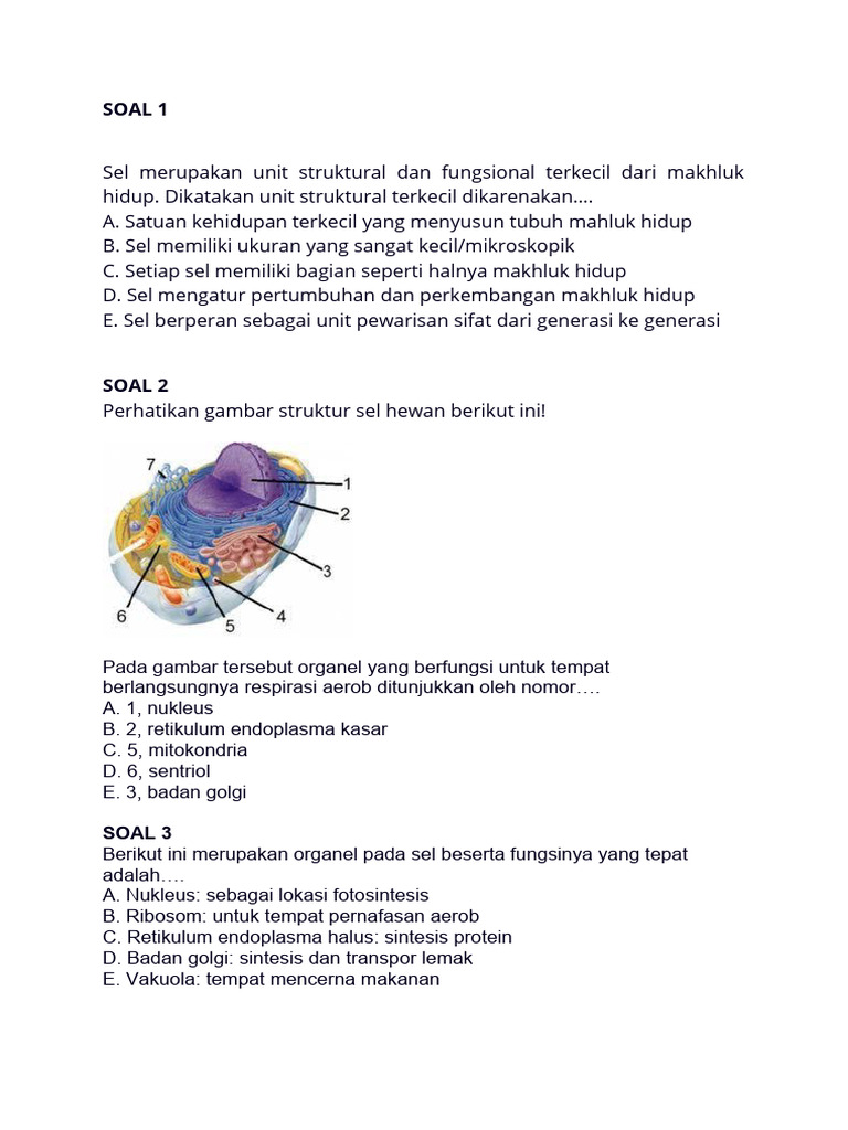 Soal Biologi Sel | PDF