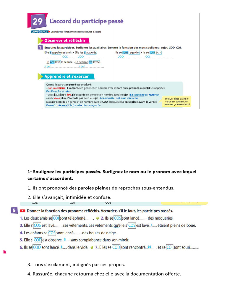 Accords Du Participe Passe | PDF