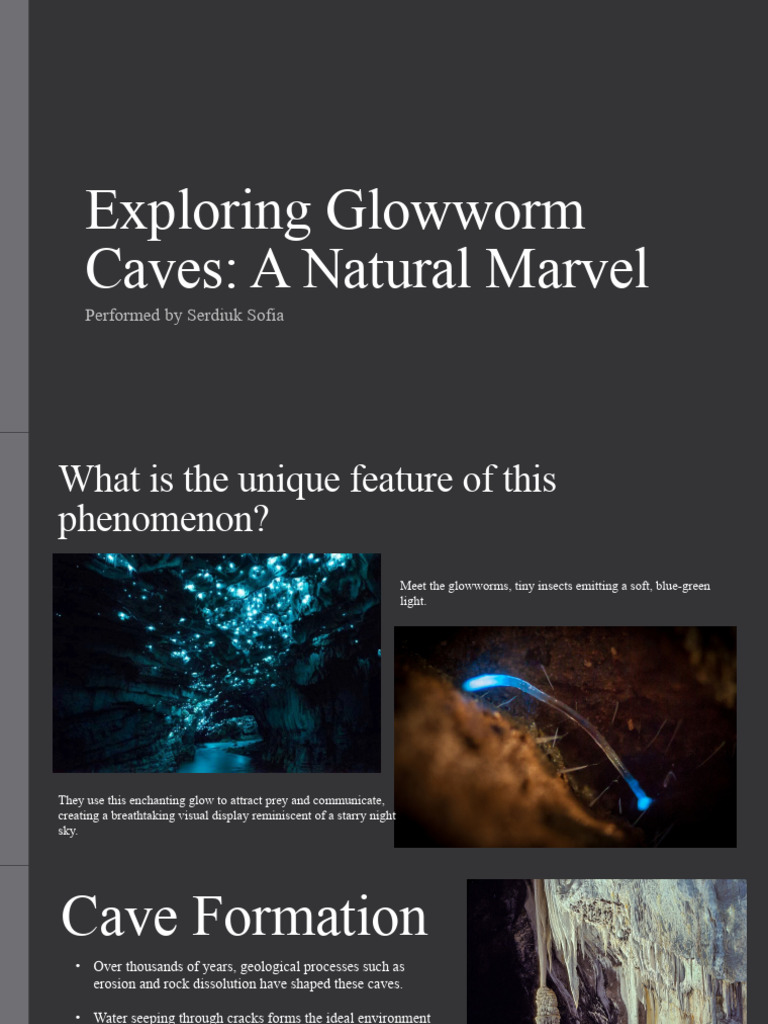 Exploring Glowworm Caves | PDF