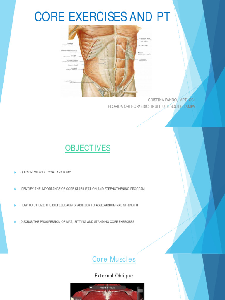Core Muscles | PDF | Abdomen | Human Anatomy