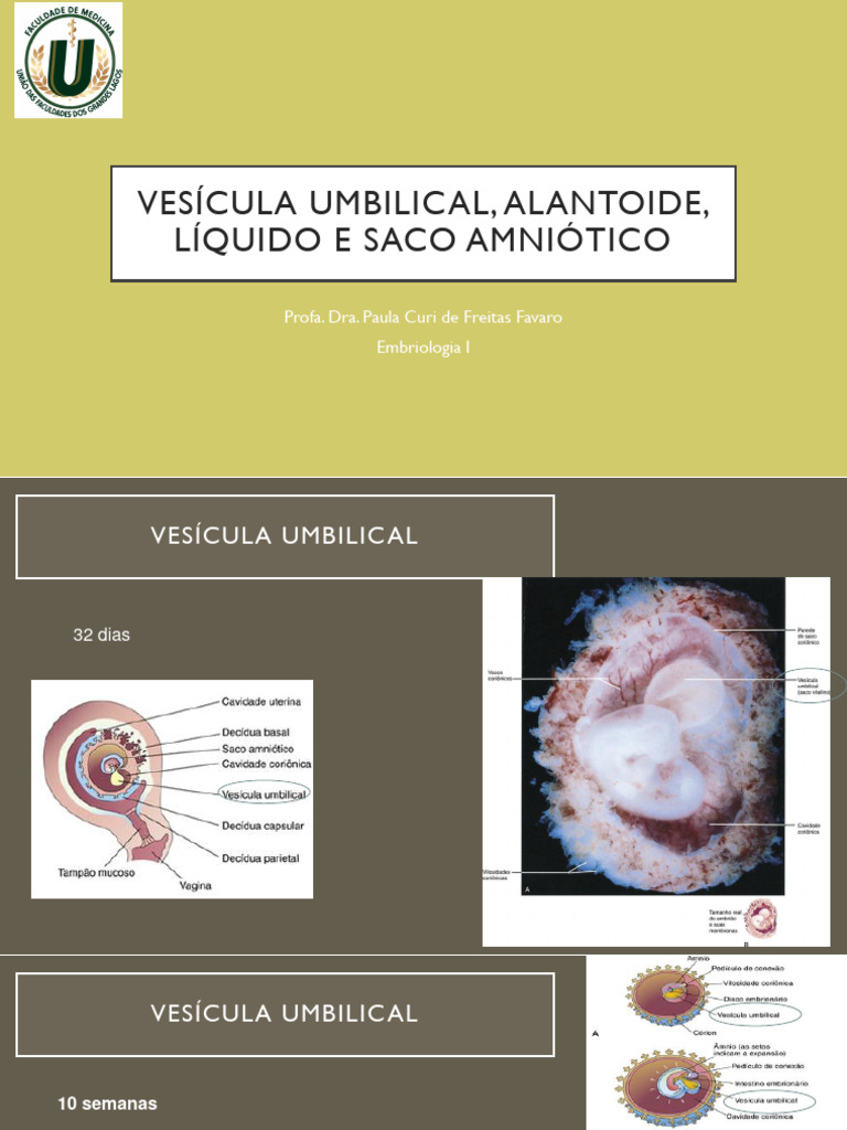 VesÃ Cula Umbilical, Alantoide, Liquido Amniotico | PDF