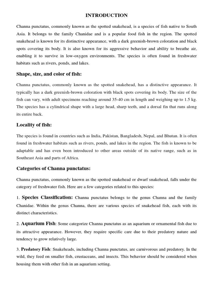 Identifying Lipids and Enzymes | PDF