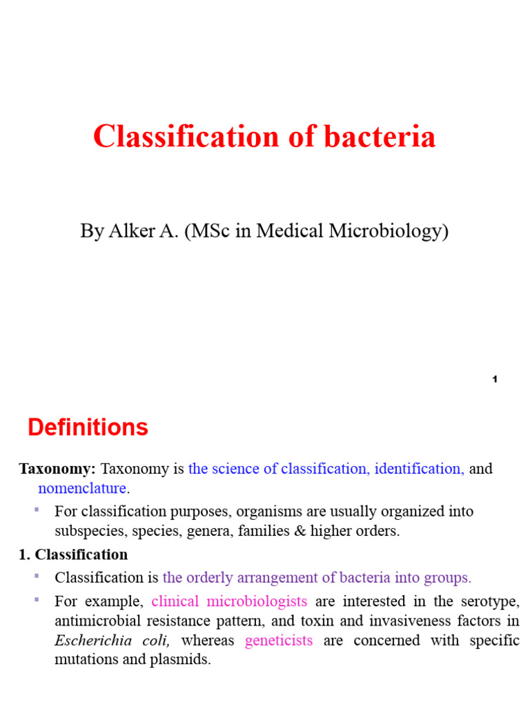 Classification of Bacteria | PDF | Bacteria | Escherichia Coli