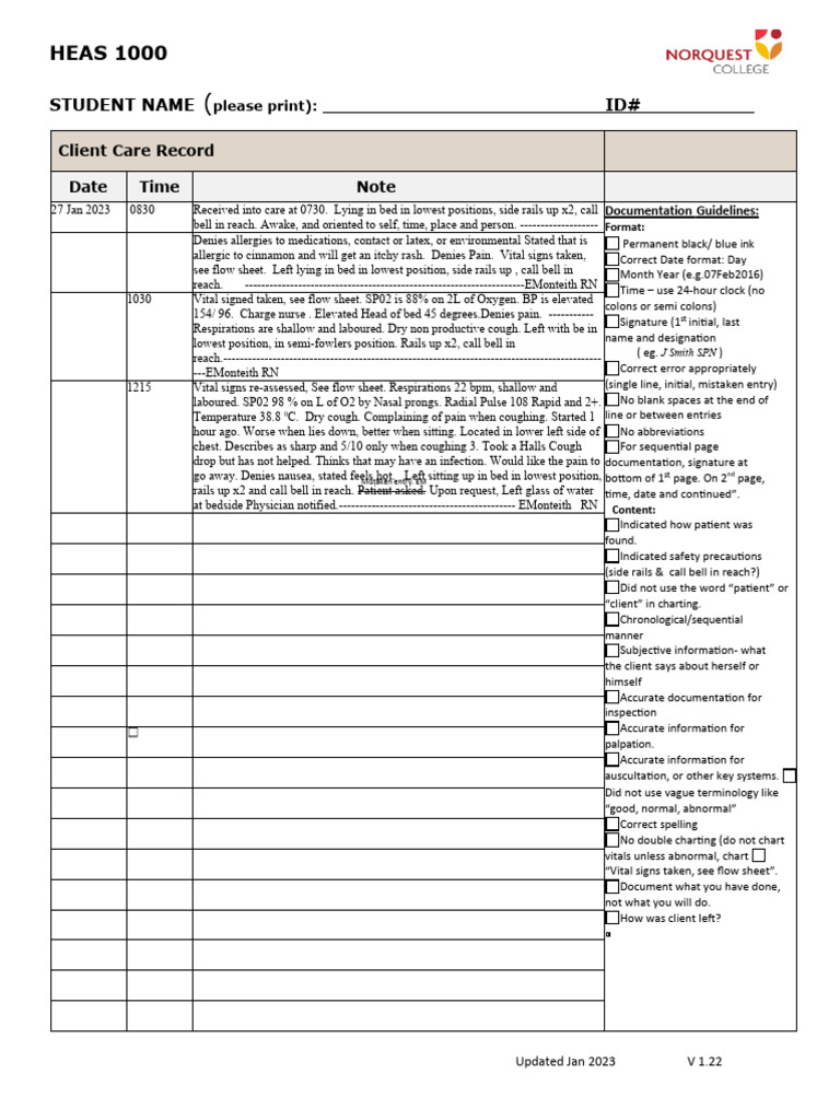 Client Care Record With Guidelines Jan 2023 | PDF | Physical ...