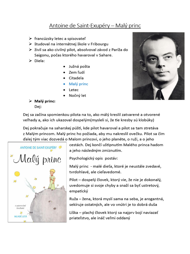 Malý princ | PDF