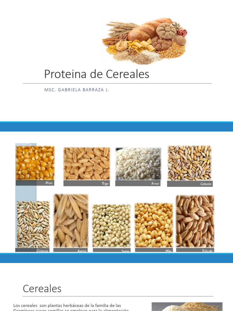 Proteinas de Cereales y Leguminosas | PDF | Cereales | Haba de soja
