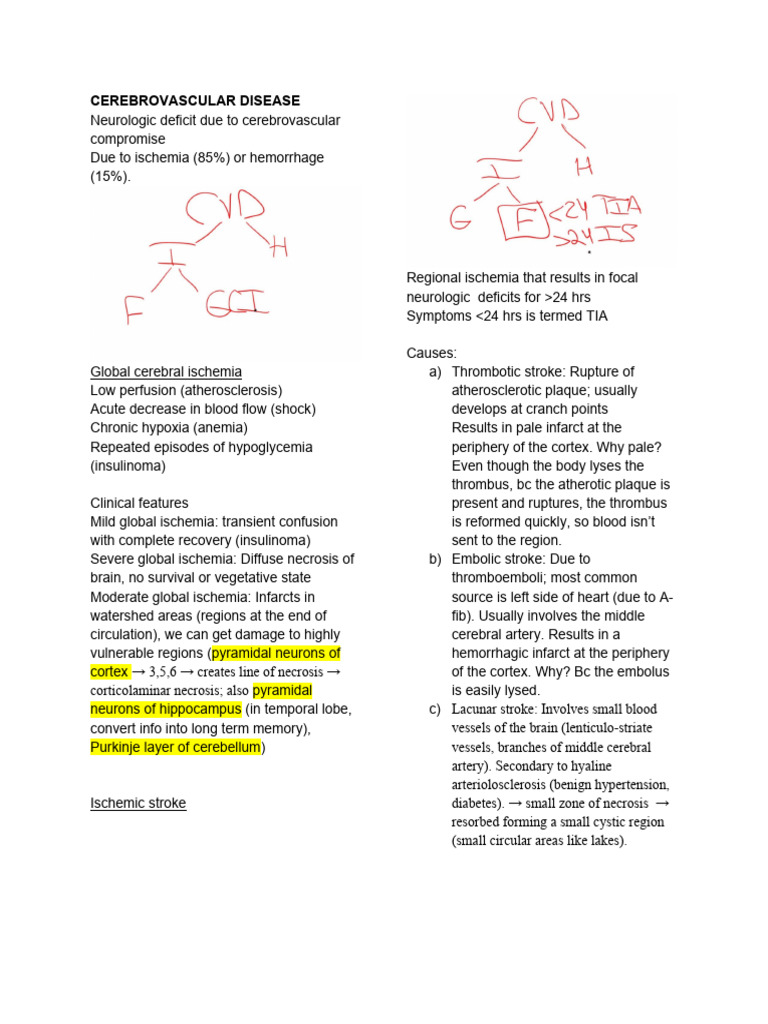 Cerebrovascular Disease Pdf Cardiovascular System Cardiovascular
