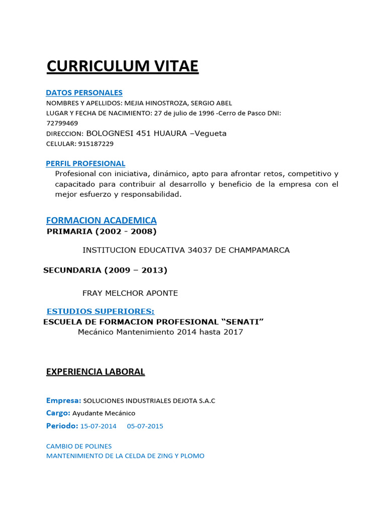 Curriculum Vitae Sergio | PDF