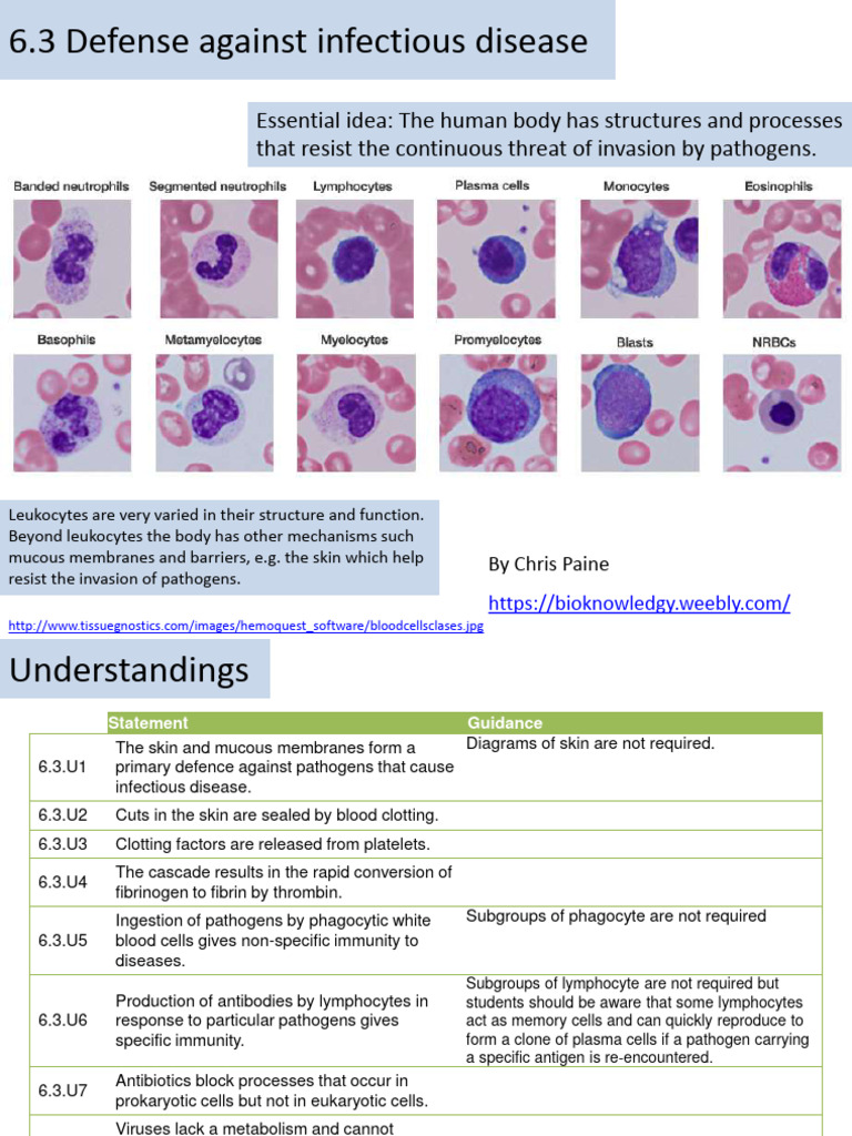 6.3 Defence Against Infectious Disease | PDF | Bacteria | Virus