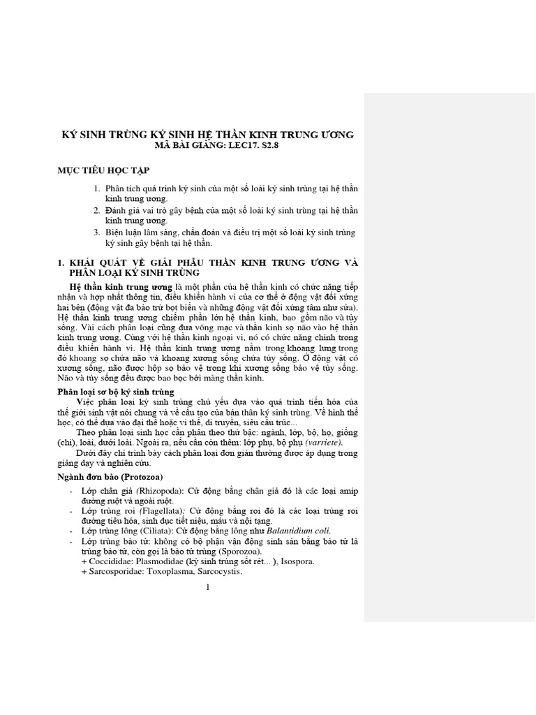 LEC17. S2.8 - Mẫu 2B & Handout LMS | PDF