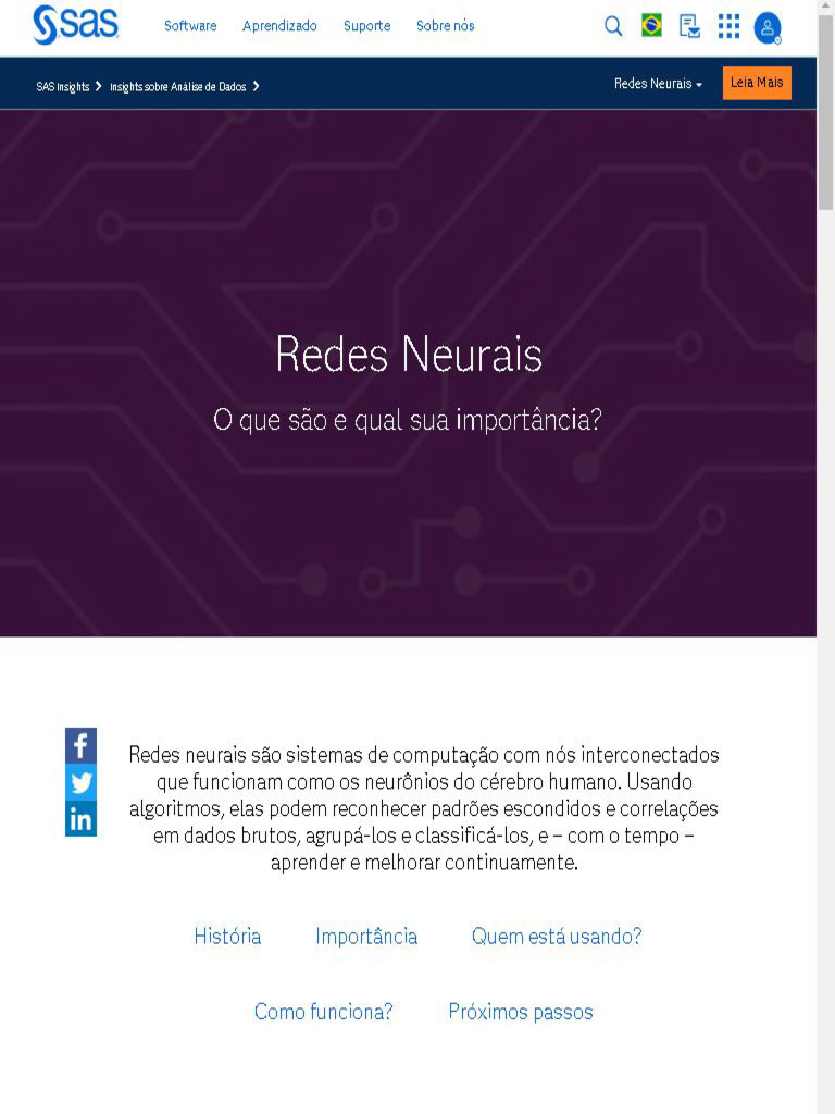 Redes Neurais - O Que São e Qual Sua Importância.. | PDF | Rede neural ...
