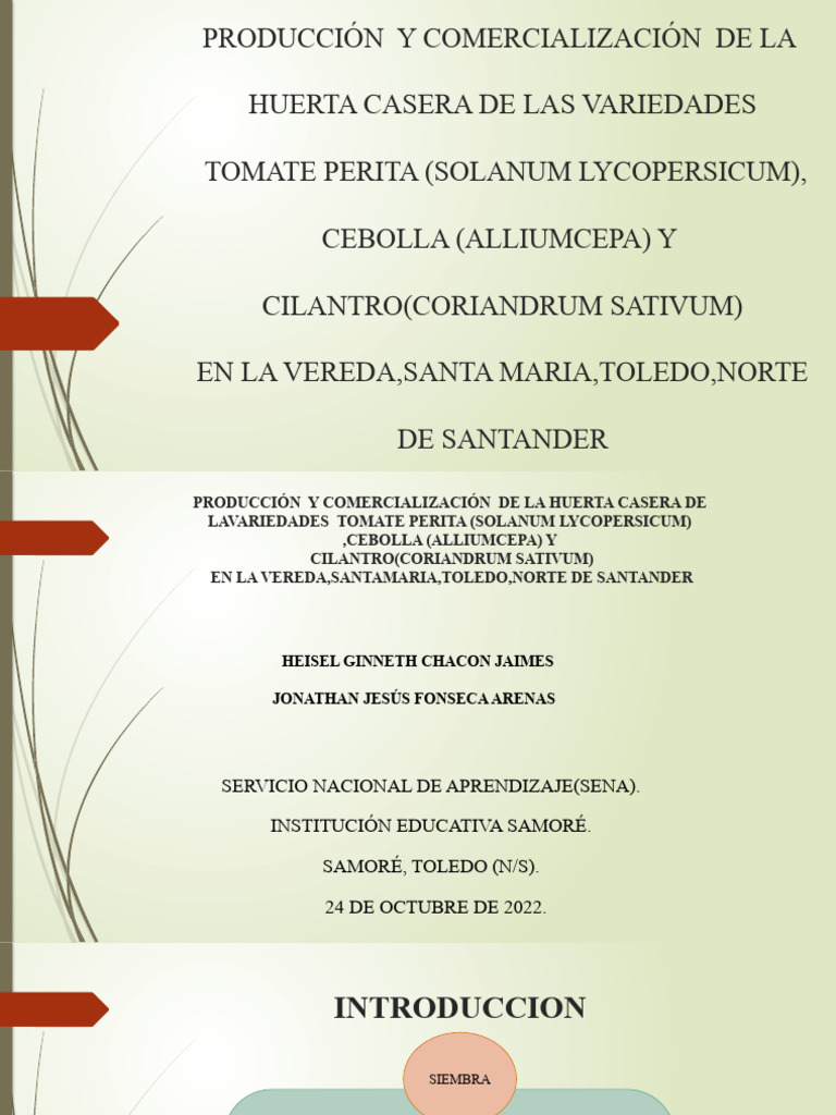 PROYECTO PRODUCCION Y COMERCIALIZACION DE LA HUERTA CASERA DE JONATHAN ...