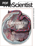 Lipofectamine MessengerMAX Man | PDF | Messenger Rna | Transfection