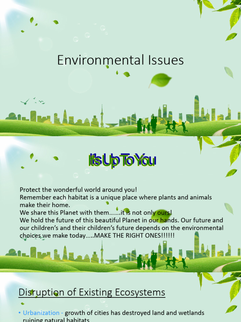 Environmental Issues | PDF