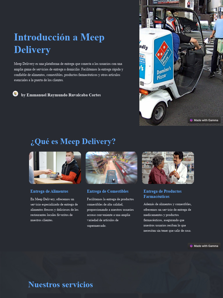 Introduccion A Meep Delivery | PDF