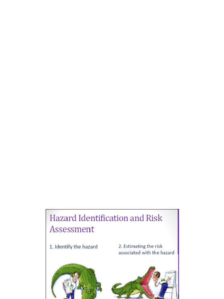 Hazard Identification | PDF