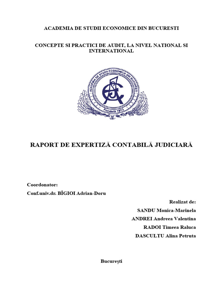 Raport de Expertiza Contabila | PDF