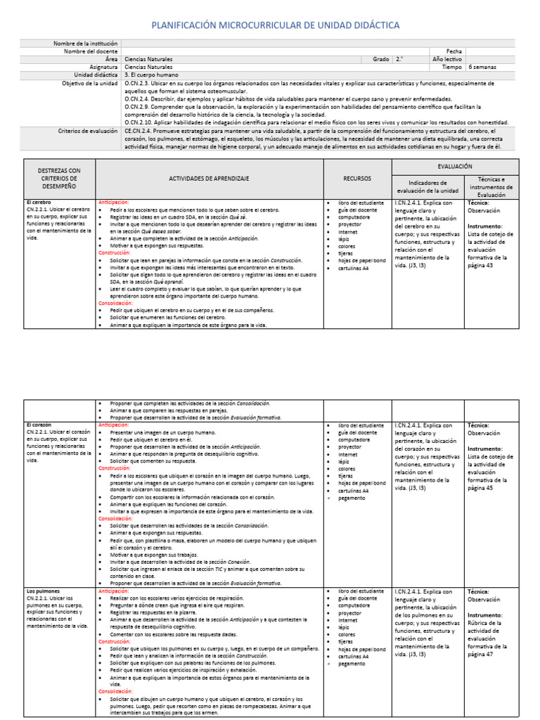 Planificación Microcurricular de Unidad Didáctica | PDF | Evaluación | Cerebro