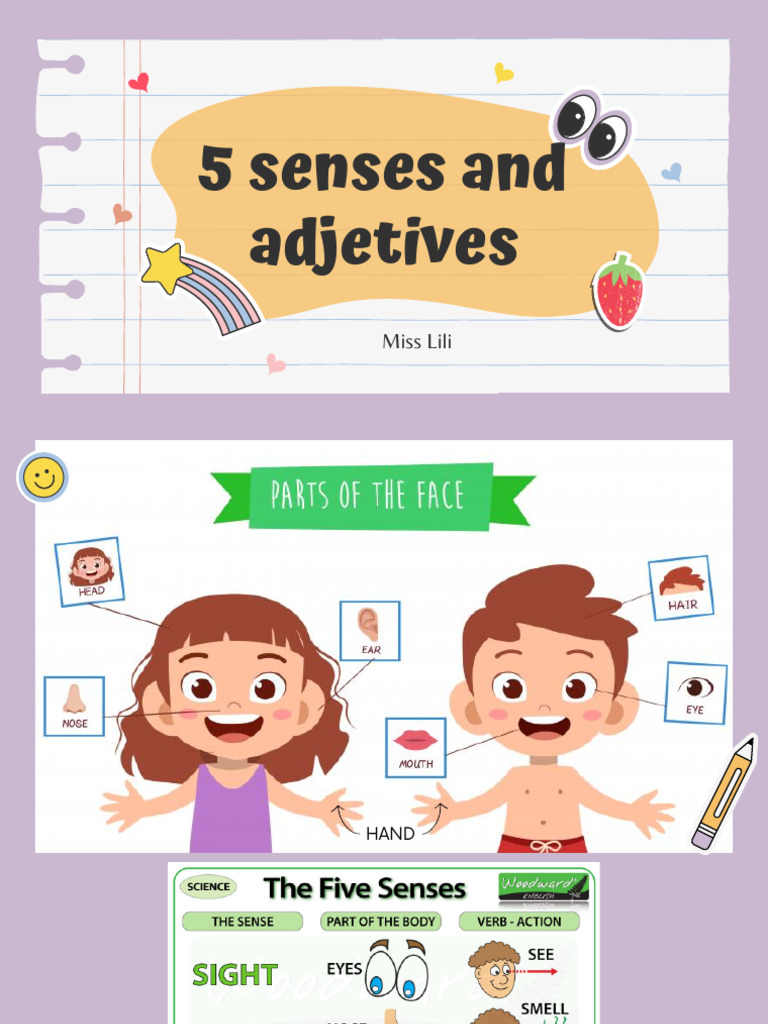 5 Senses and Adjetives | PDF | Cooking, Food & Wine