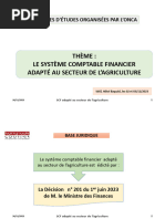 Plan Comptable Algerien SCF PDF | PDF | Comptabilité | Bilan comptable