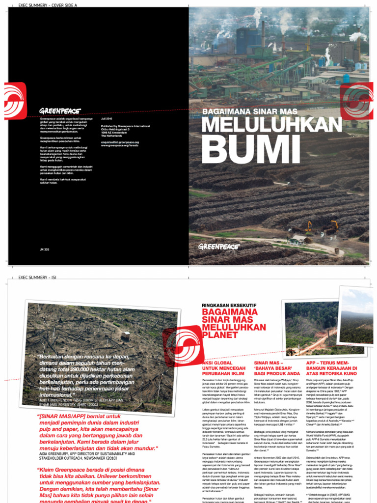 Asia Pulp and Paper | PDF