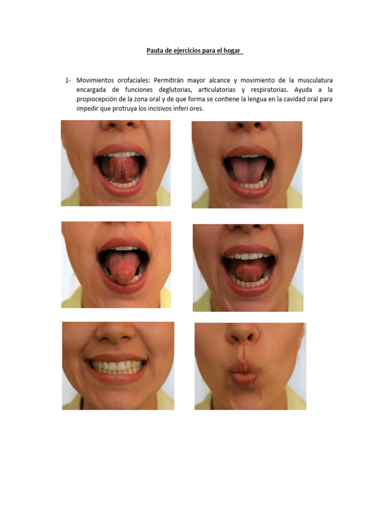 Pauta de Ejercicios Posicionamiento Lingual | PDF | Lengua | Anatomía ...
