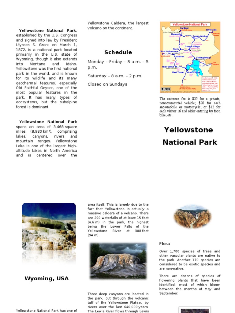 Yellow Stone National Park | PDF | Yellowstone National Park | Conservation