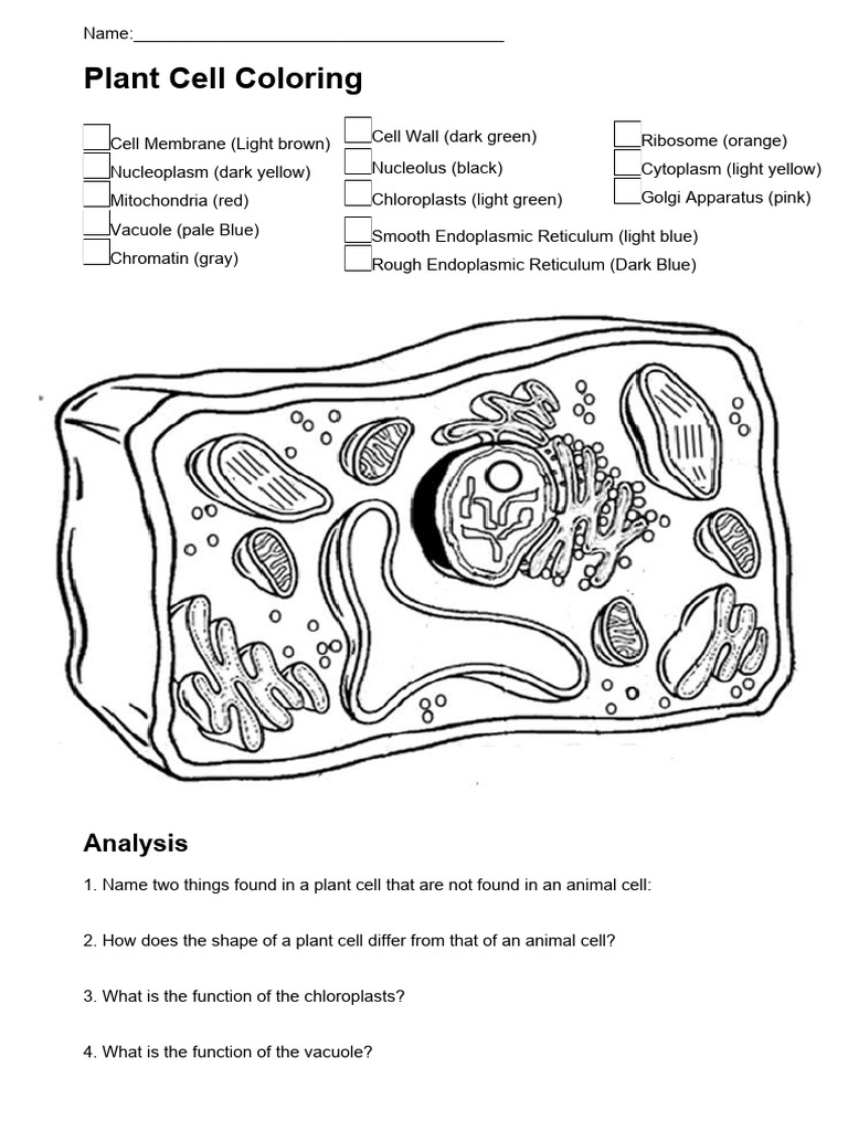 2 - Cell Coloring | PDF | Self-Improvement | Wellness