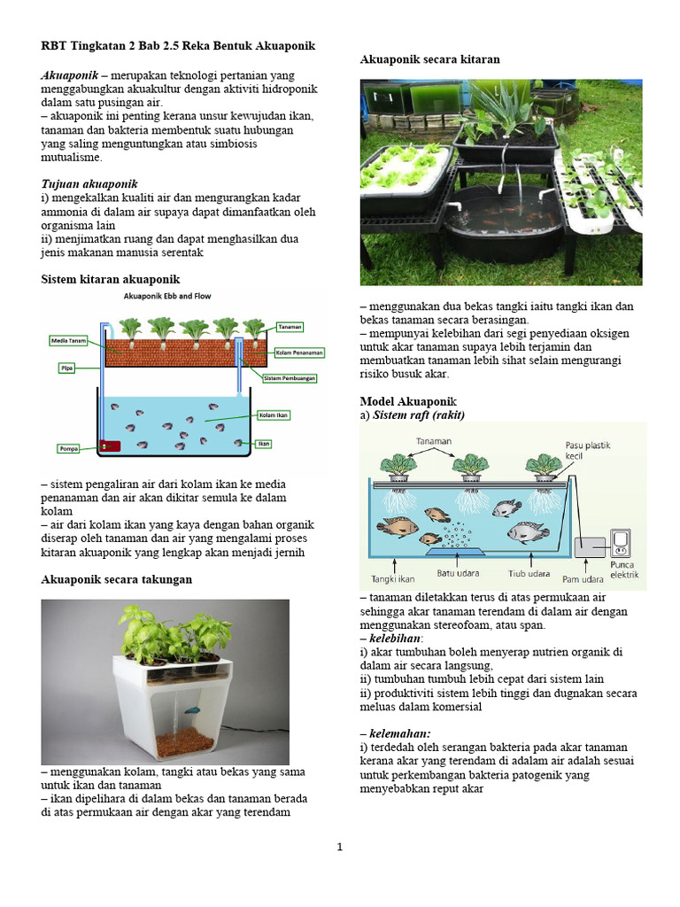 Tingkatan 2 Bab 2.5 Reka Bentuk Akuaponik | PDF | Griya & Taman | Sains & Matematika