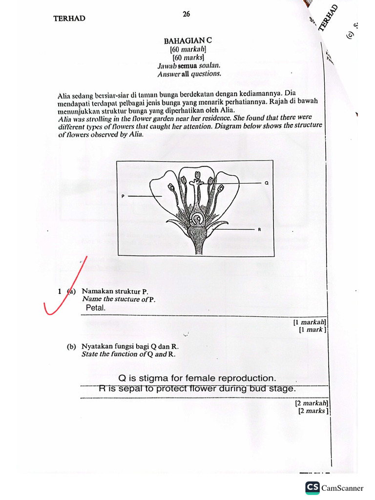 Science Part C Form 1 Excercise | PDF | Flowers | Pollination