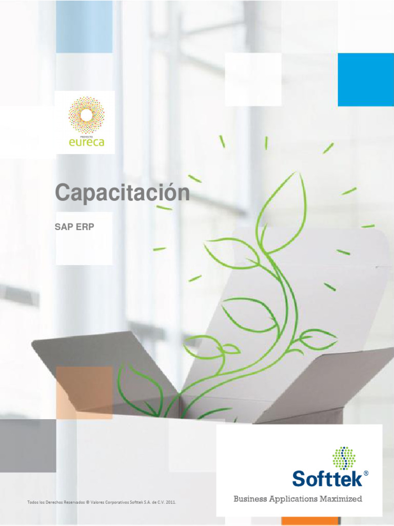 Capacitación Inicial en SAP ERP | PDF | Ventana (informática) | Archivo de computadora