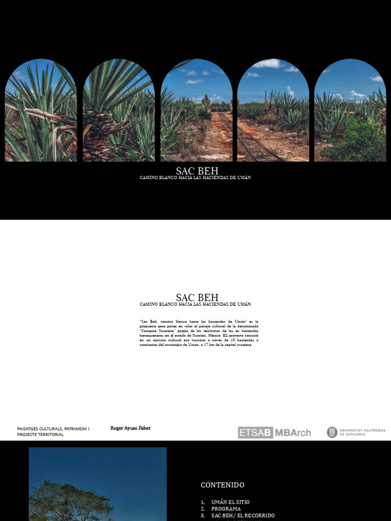 Presentación Final Paiaje - Roger Ayuso Faber | PDF | México | Agricultura